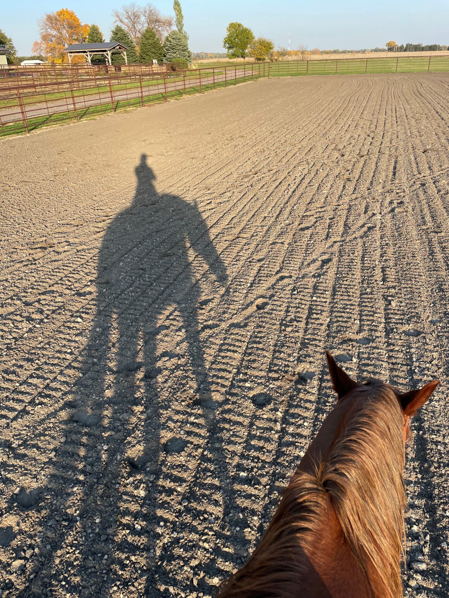 Horse Services - Arista Ranch